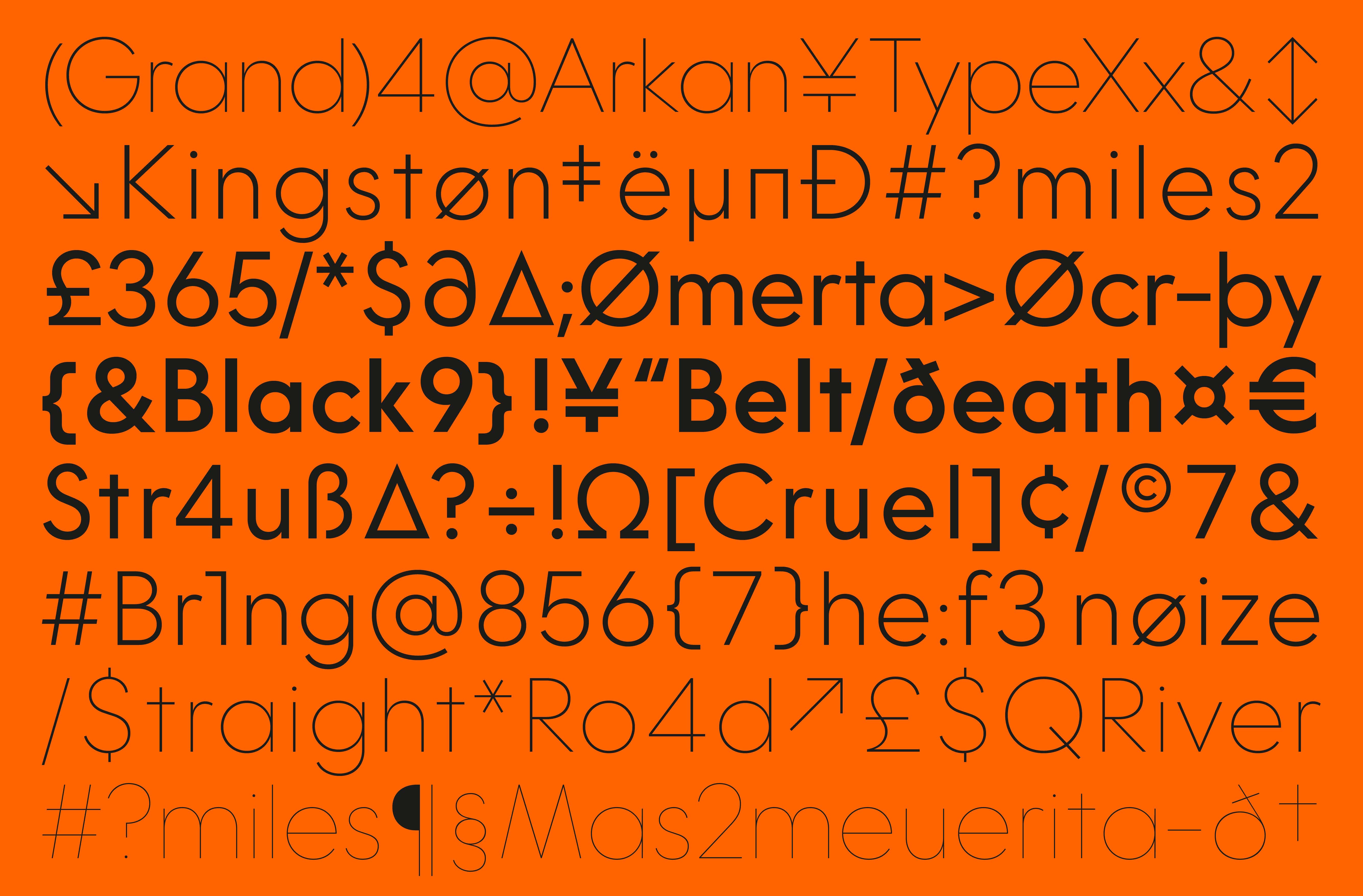 Digital Sans - Timeless, flexible, geometric | French Type Design ...