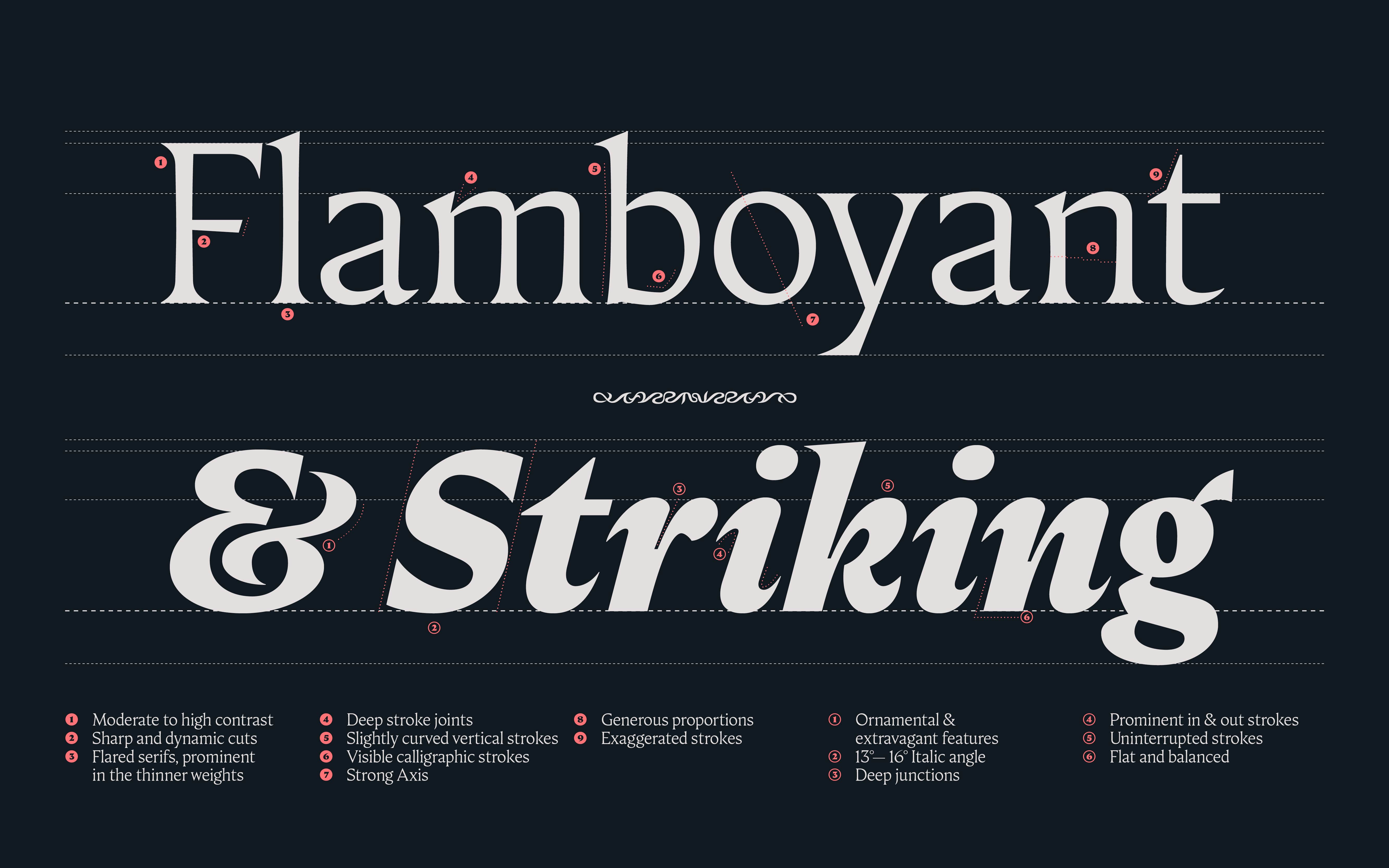 Fautive - The exaggerated appeal of a playful serif | French Type ...