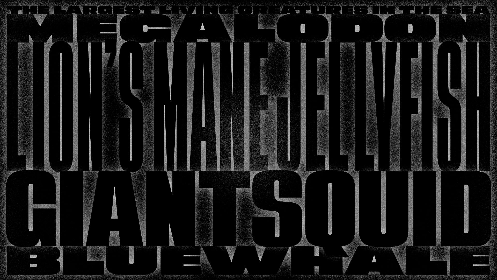 Mega Script - A Neo-grotesque font from small to large formats | French ...