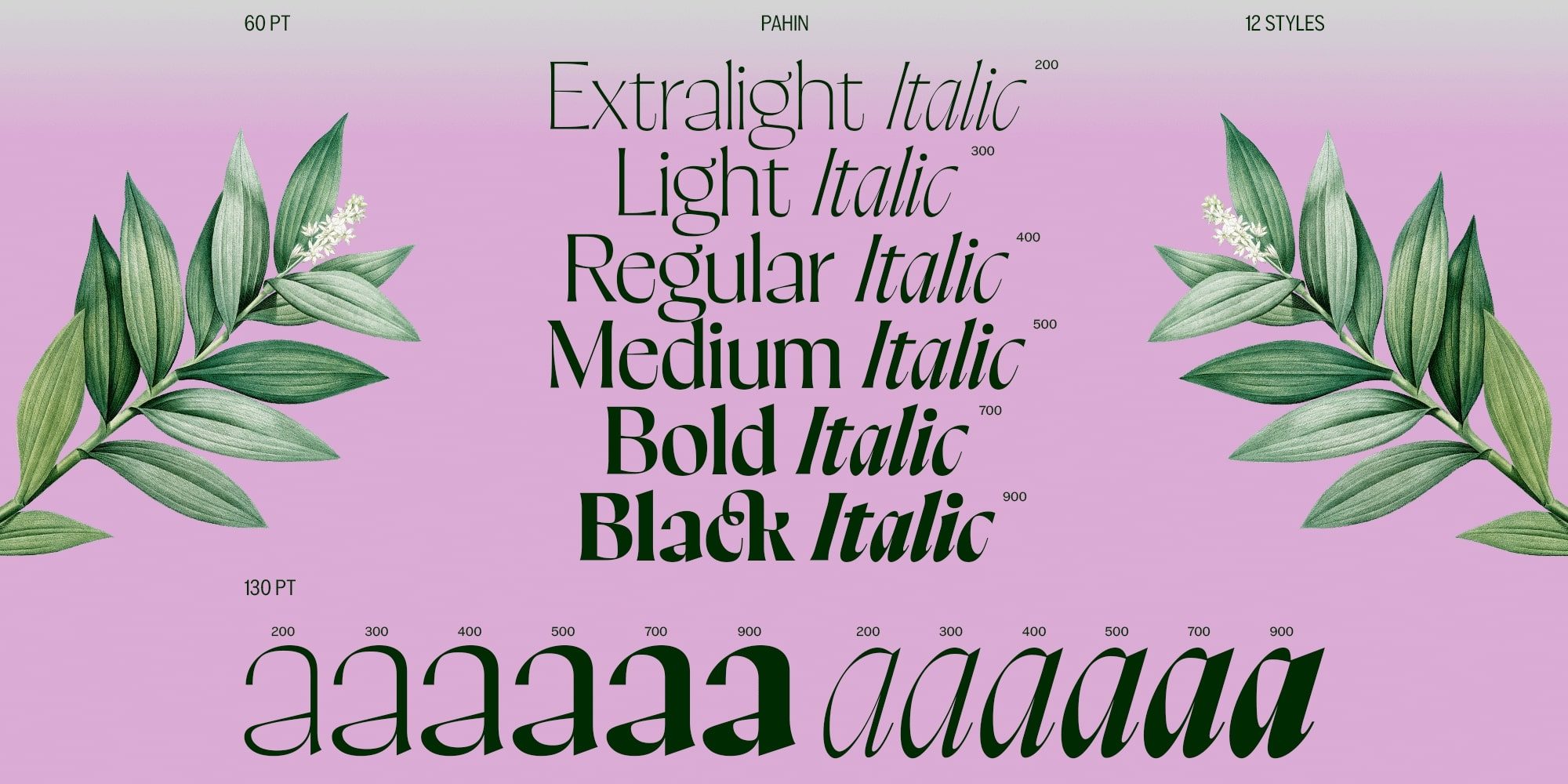 Pahin is an expressive flared serif that combines sharp forms with ...