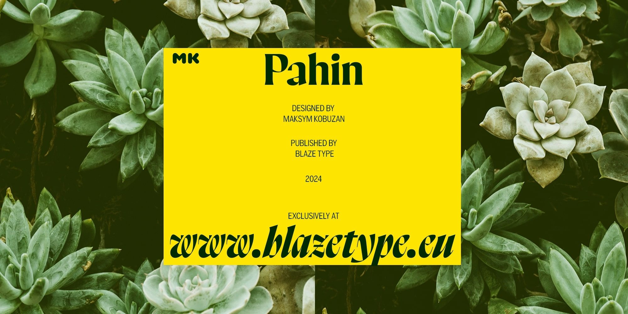 Pahin is an expressive flared serif that combines sharp forms with ...