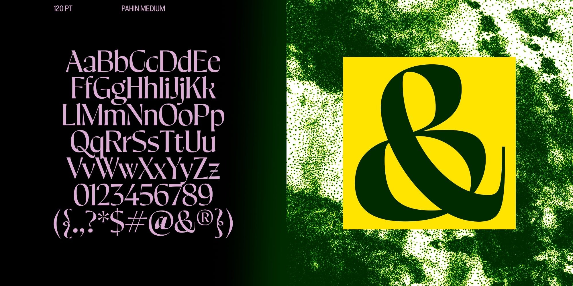 Pahin is an expressive flared serif that combines sharp forms with ...
